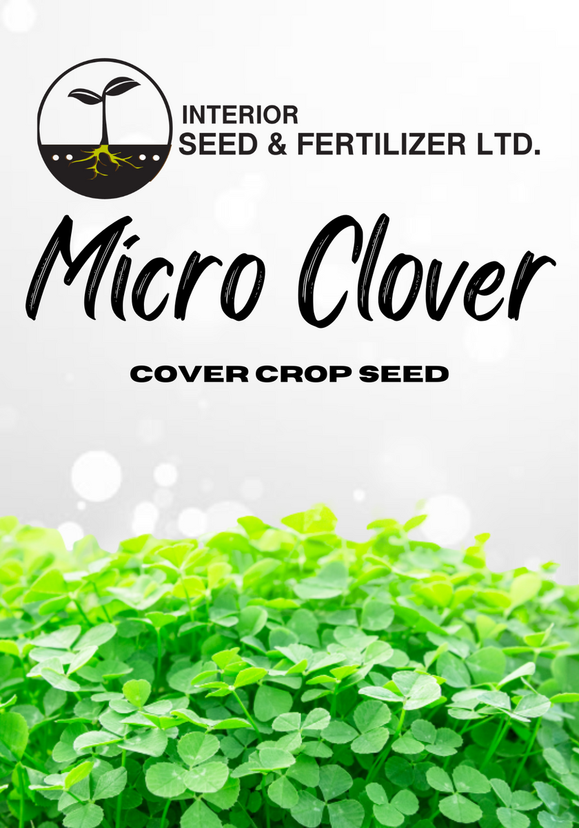 Micro Clover Cover Crop Seed – Interior Seed & Fertilizer