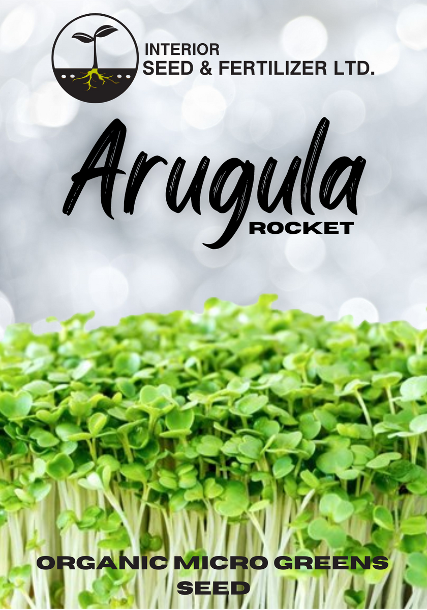 Rocket Arugula Microgreen Seeds – Interior Seed & Fertilizer
