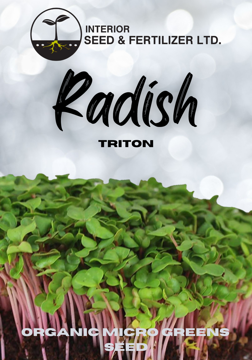 Triton Radish Microgreen Seeds – Interior Seed & Fertilizer