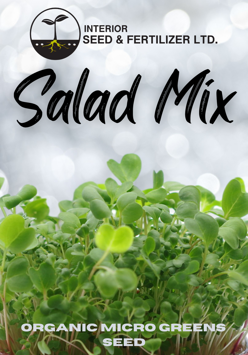 Salad Mix Microgreen Seeds – Interior Seed & Fertilizer