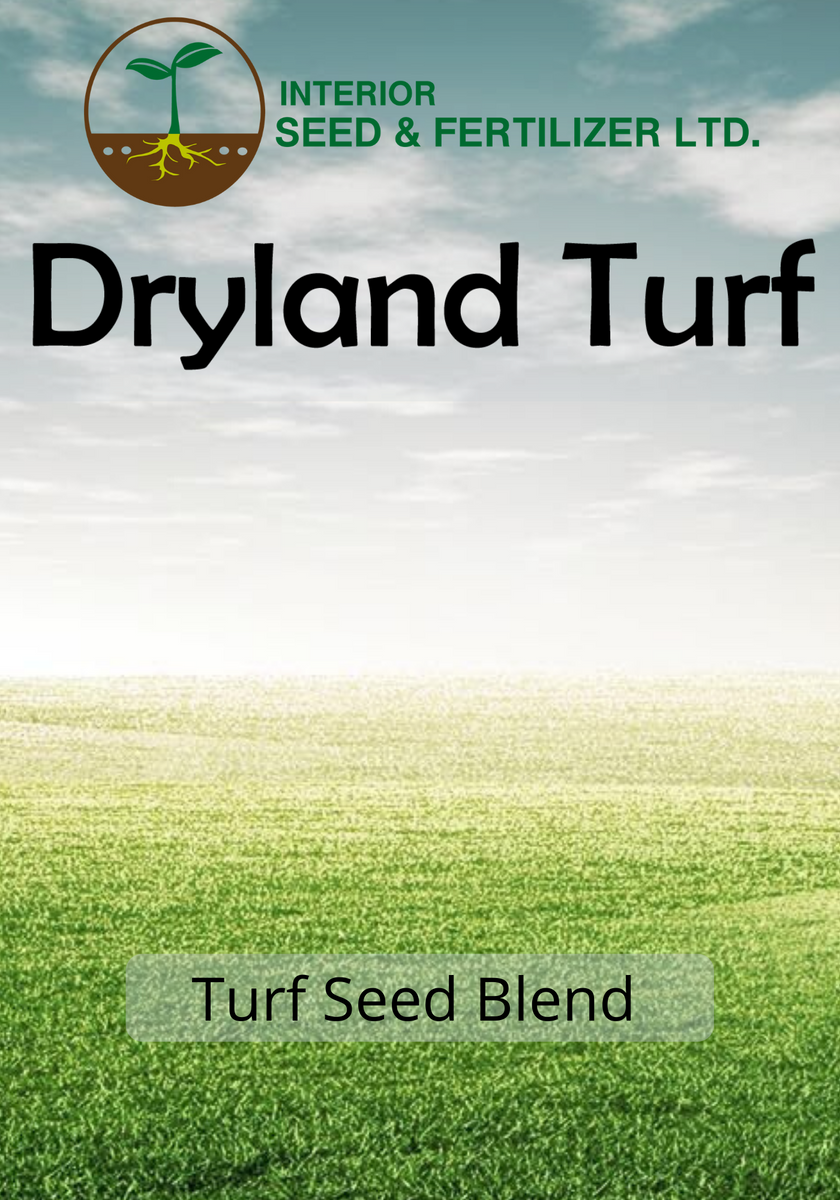 Dryland Turf - Turf Blend – Interior Seed & Fertilizer