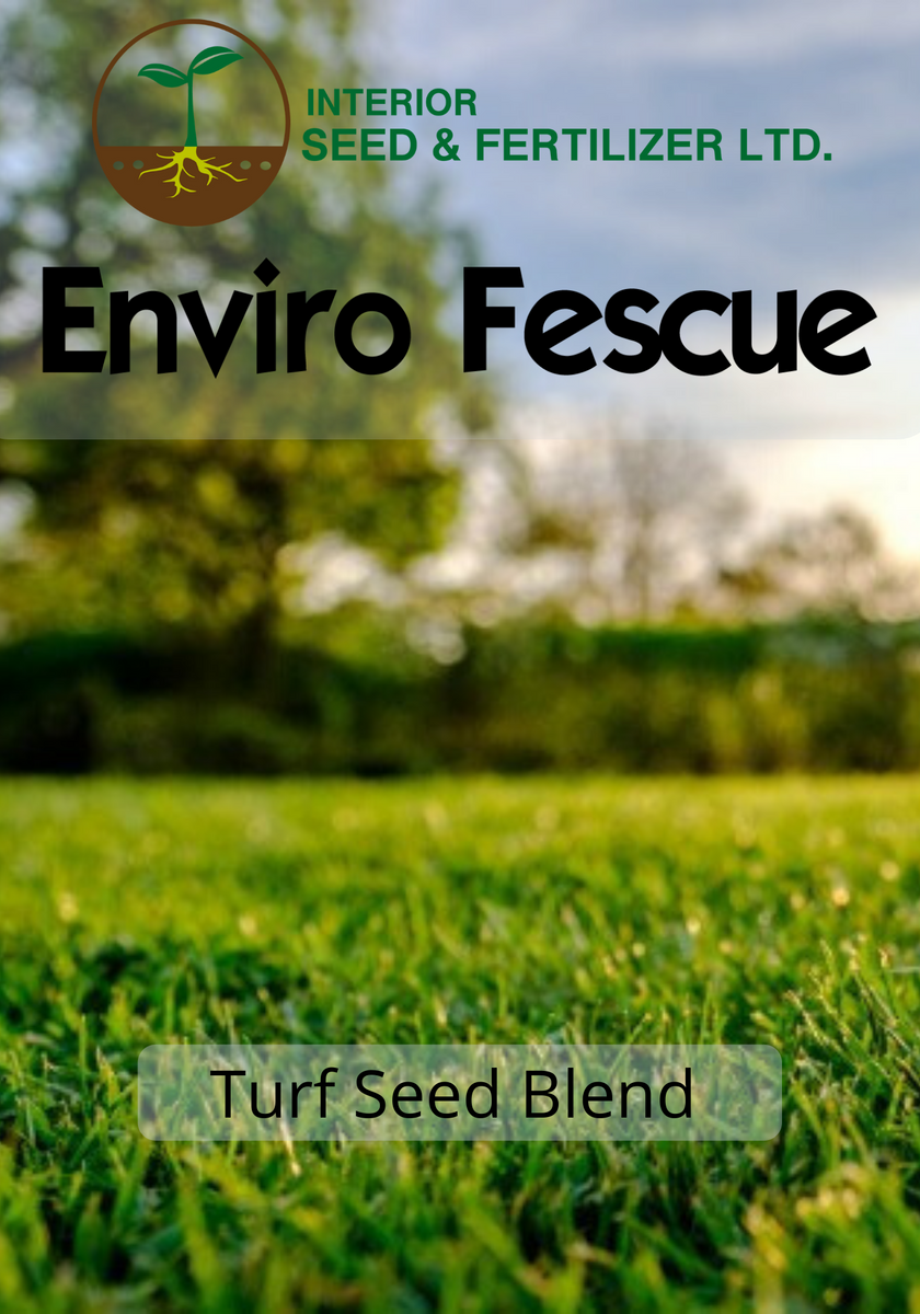 Enviro Fescue - Turf Blend – Interior Seed & Fertilizer